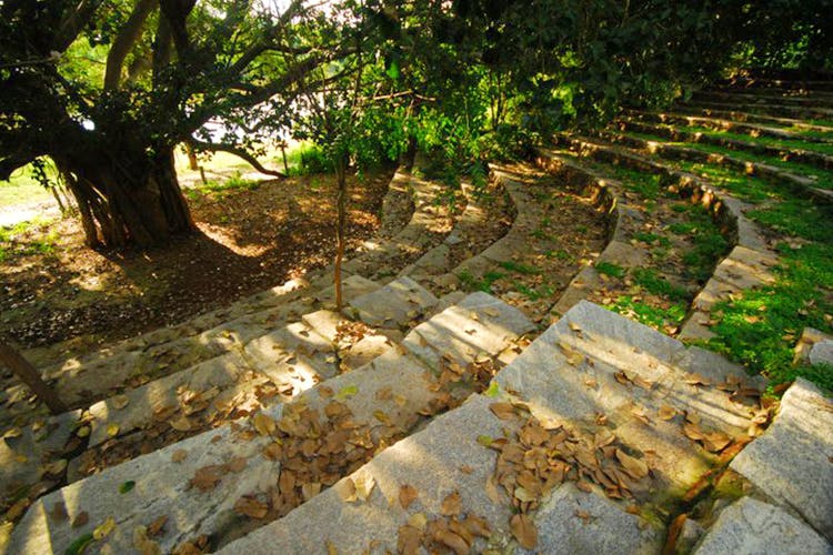 Fireflies Intercultural Centre, Kanakpura | LBB, Bangalore