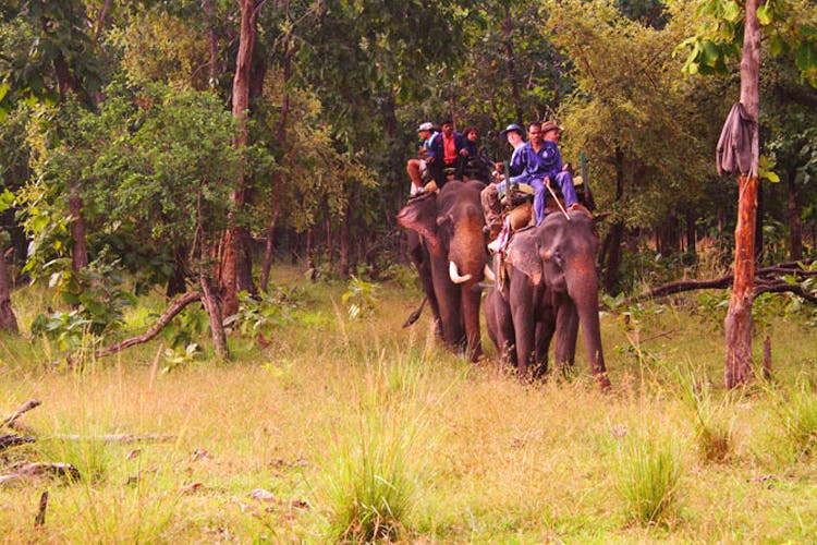 Reconnect With Life At The Reni Pani Resort In Madhya Pradesh | LBB, Delhi